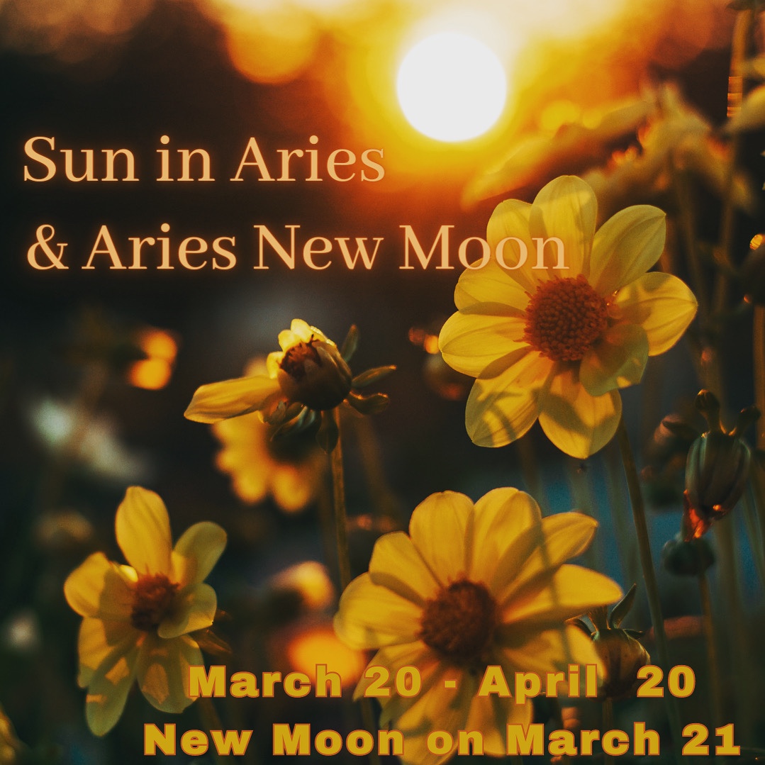 Sun in Aries & Aries New Moon – Alison's Tarot & Astrology